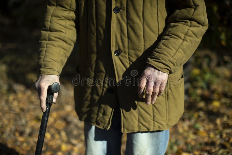 Old Man with Pole for Support when Walking. Old Hands Stock Image ...