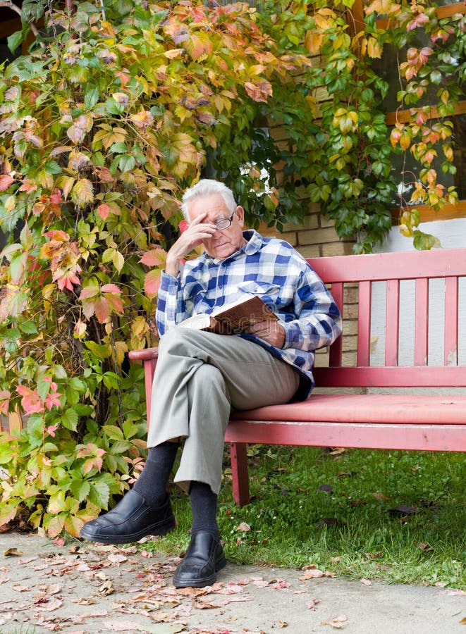 Old man reading book stock image. Image of pension, bench - 45990805