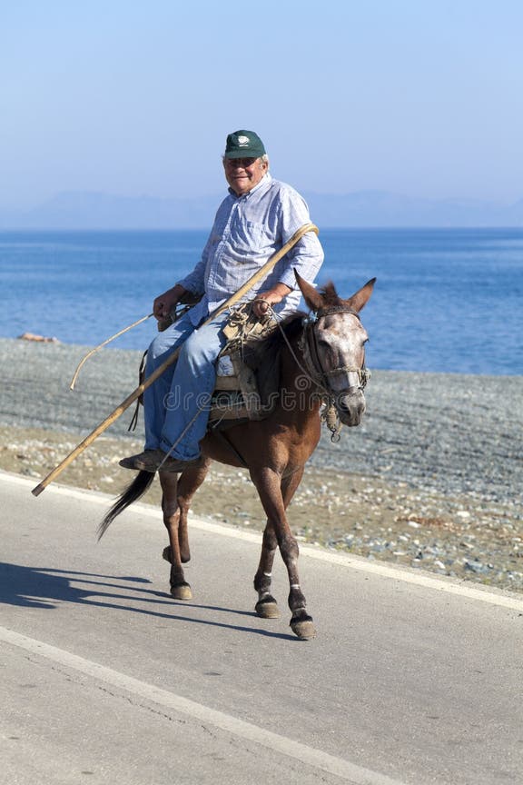 Old man rides a mule editorial stock image. Image of nature - 27884689
