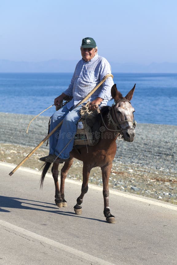 Old man rides a mule editorial photo. Image of footpath - 27886376