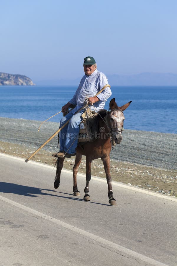 Old man rides a mule editorial stock photo. Image of poverty - 27887513