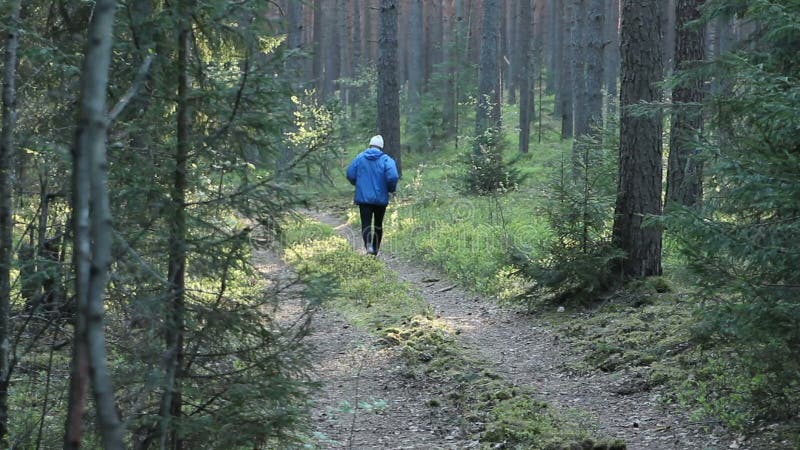 Old Man Running Outdoors In A Coniferous Forest Stock Footage Video
