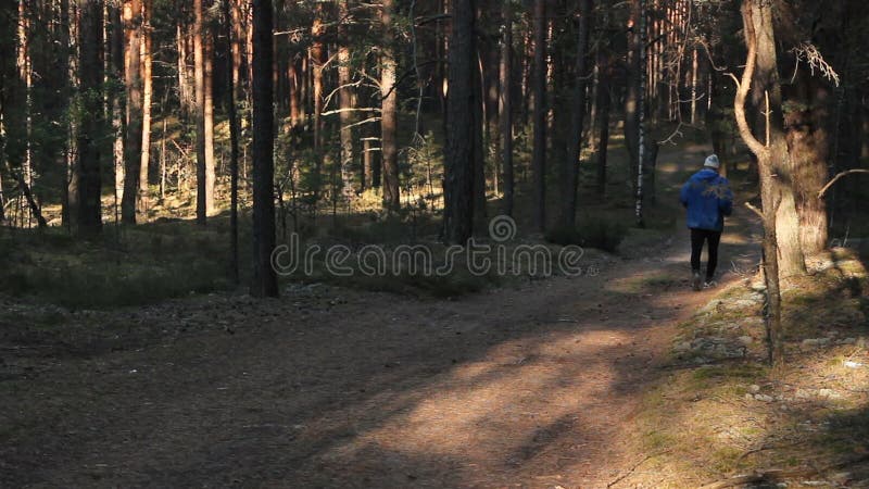 Old Man Running Outdoors in a Coniferous Forest. Stock Footage - Video ...