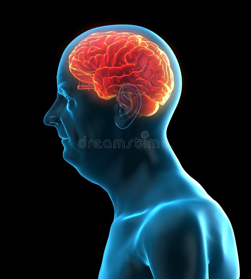 An old manÂ´s brain stock illustration. Illustration of dementia - 74819540