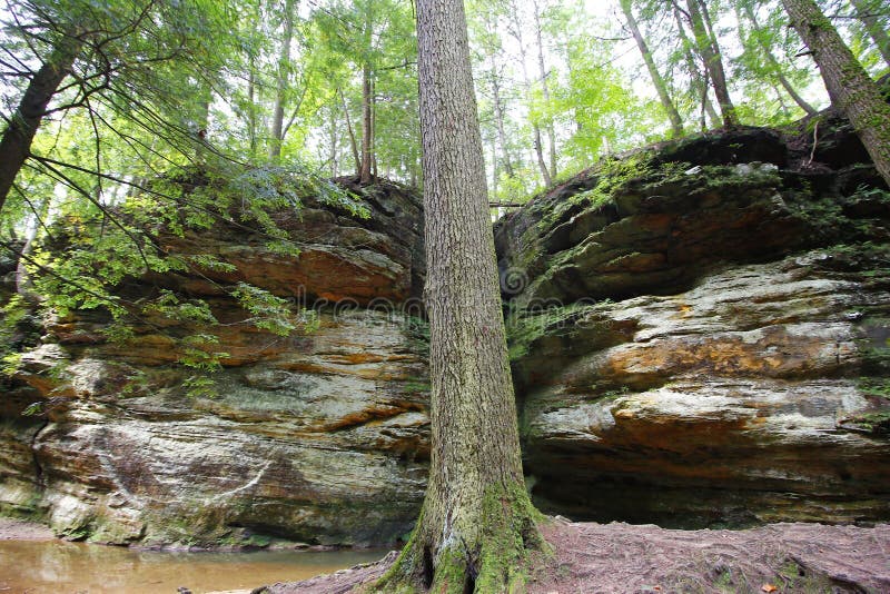 Old Man S Cave in Summer, Hocking Hills State Park, Ohio Stock Image ...