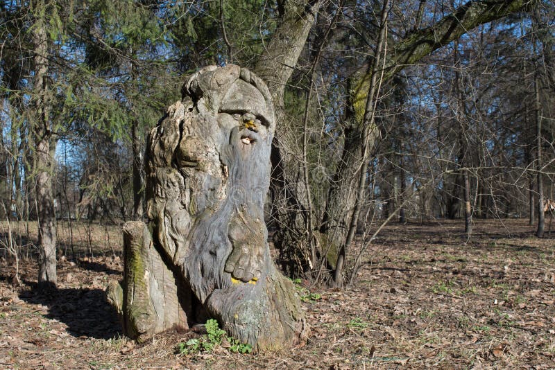 Old Man Sculpture Carved from Tree in the Sunny Forest Stock Image ...
