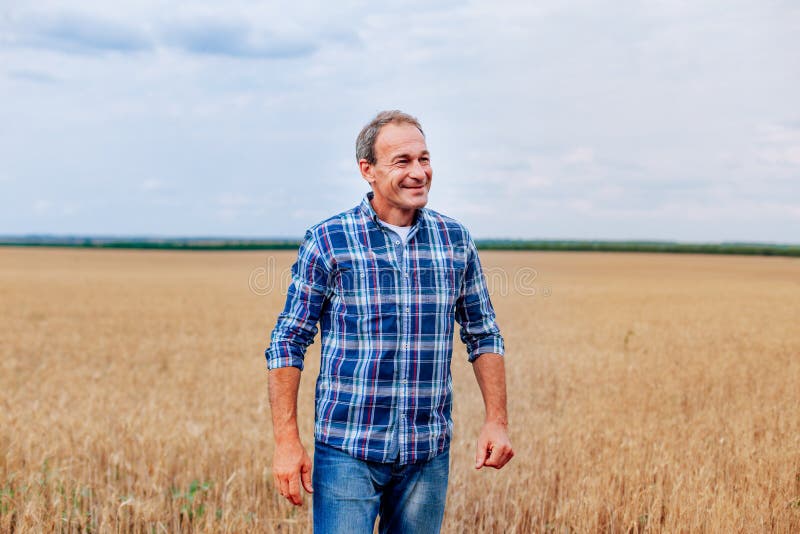 Old Man Smiling in Wheat Field Farmer Stock Photo - Image of people ...