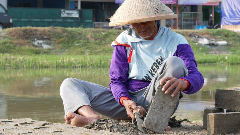 Conventional Architecture Stock Footage & Videos - 216 Stock Videos