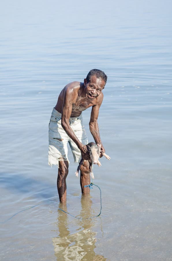 East Timor stock photo. Image of timor, beautiful, secluded - 49628070