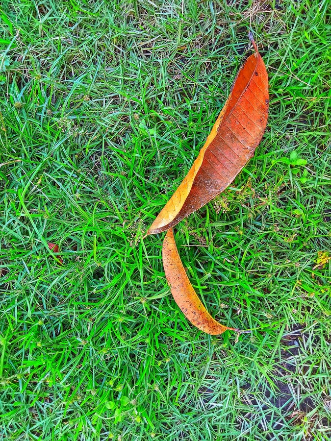 Fall over the hills stock photo. Image of carpathians - 34011752