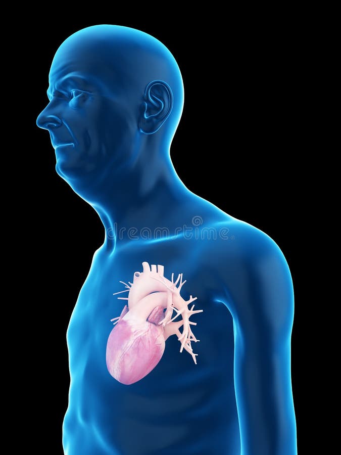 An old mans heart stock illustration. Illustration of graphic - 127833238