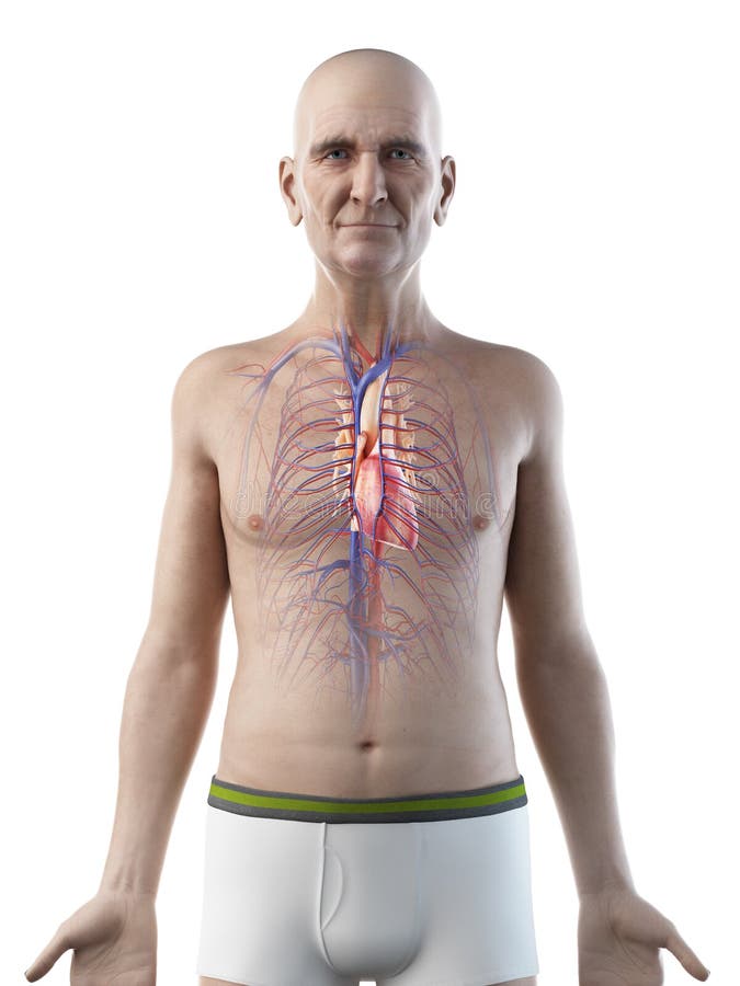 An old mans heart stock illustration. Illustration of mans - 153408151