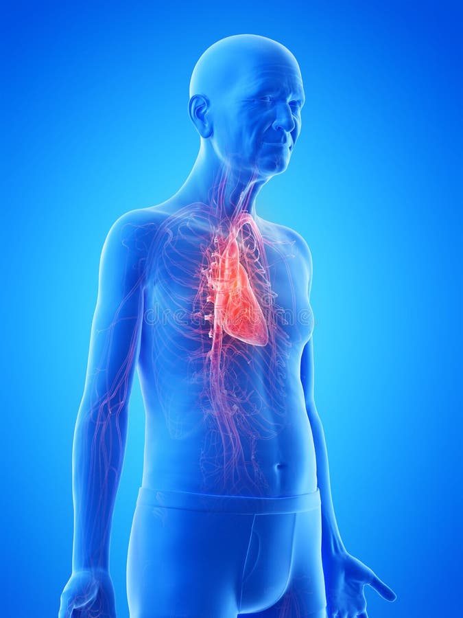 An old mans heart stock illustration. Illustration of human - 153408222