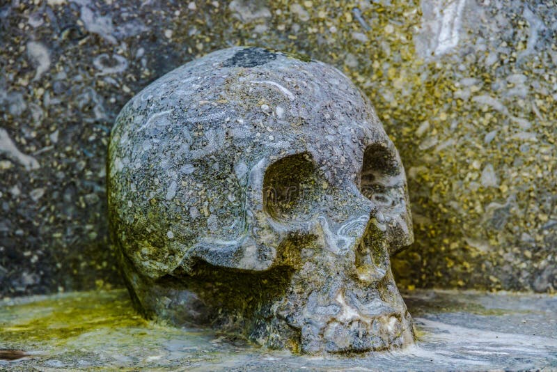 Marble Skull stock image. Image of skeleton, marble - 241073477