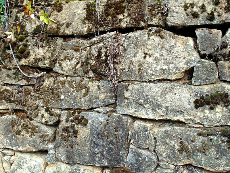 Old Masonry Covered with Moss and Withered Grass Stock Photo - Image of ...