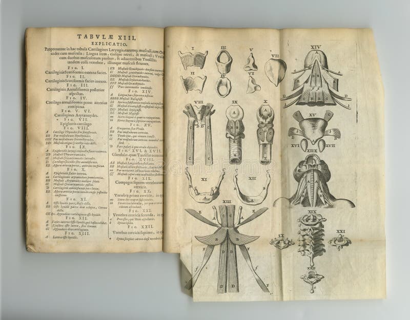 Old Medical Knowledge. an Old Anatomy Book with Its Pages on Display ... Old Medical Knowledge. an Old Anatomy Book with Its Pages on Display ...