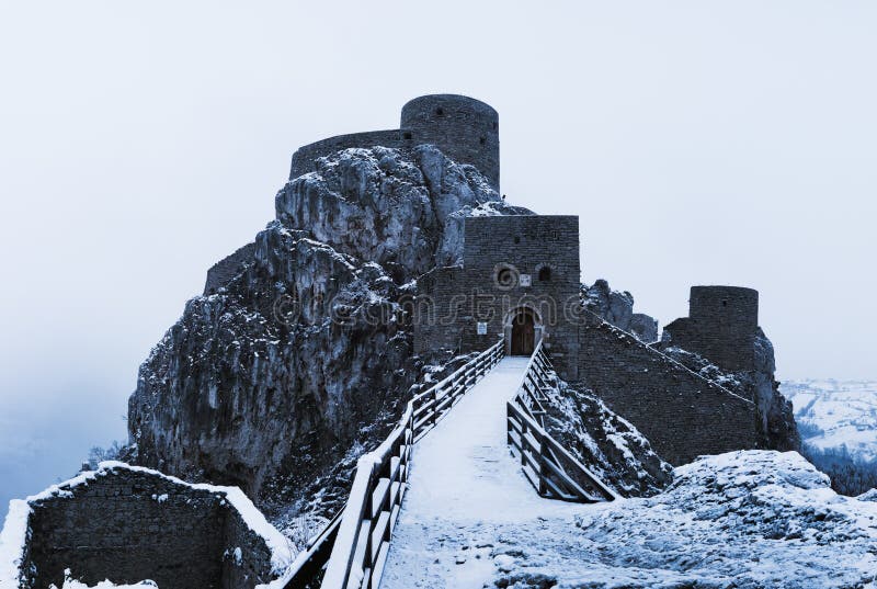 Castle Covered with English Ivy Stock Photo - Image of architecture ...