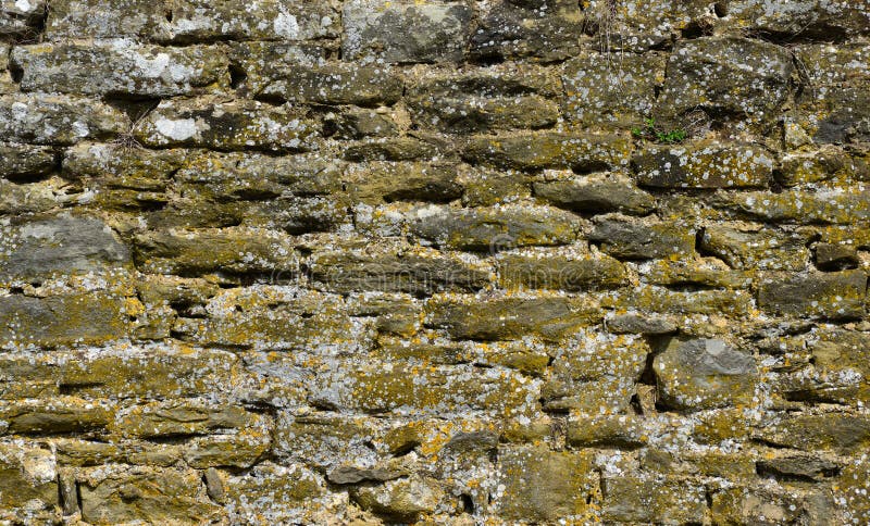 Old Medieval Wall with Moss Background Stock Image - Image of musk ...