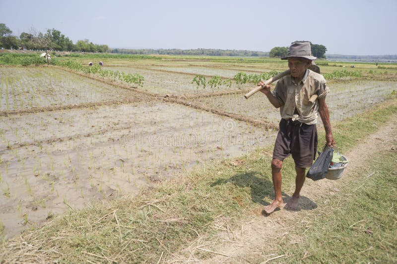 Old men editorial image. Image of java, fields, central - 75575770