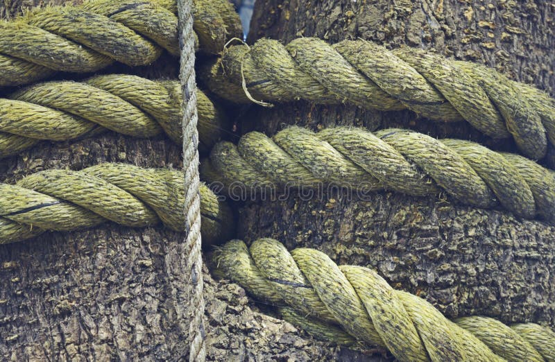 Messy Braided Ropes of Fishing Tackle Stock Image - Image of detail ...