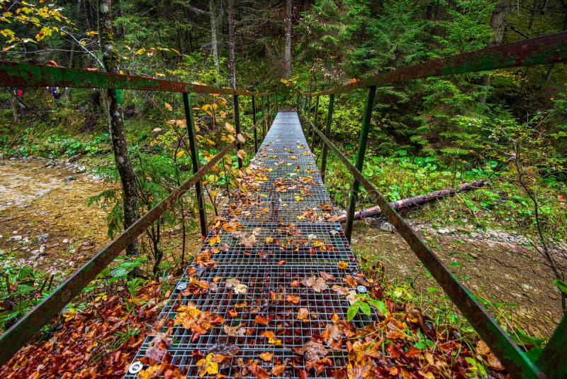 Old Metal Bridge Over River in Autumn Forest Stock Photo - Image of ...
