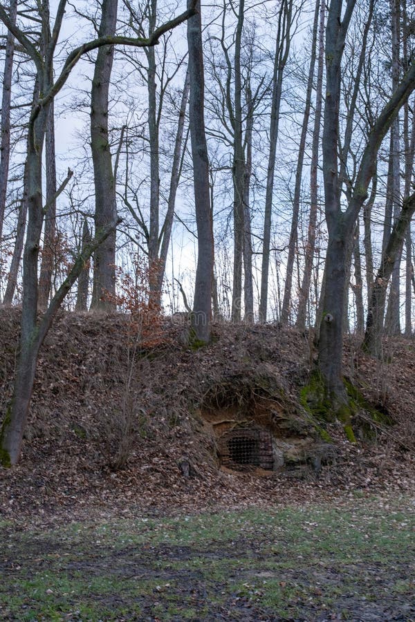 Old Metal Gate Hillside Forest Early Spring Stock Photos - Free ...