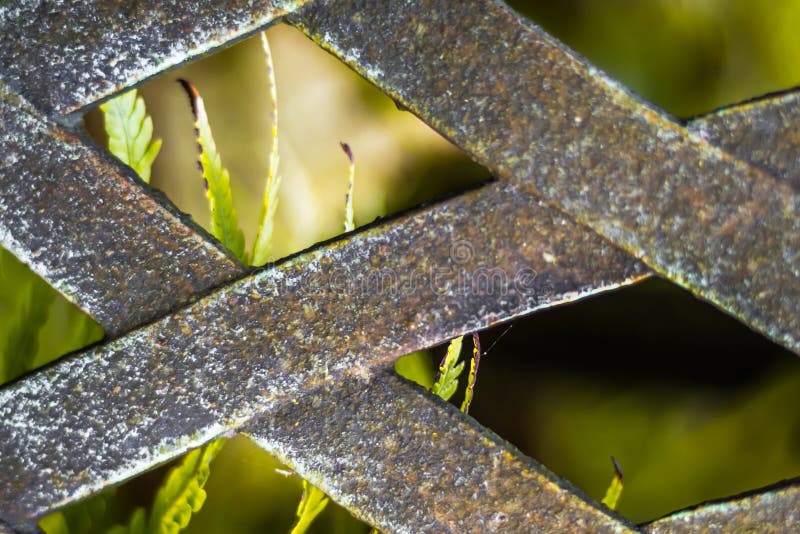 The Old Metal Handmade Back Texture of the Bench with Blurred Fe Stock ...
