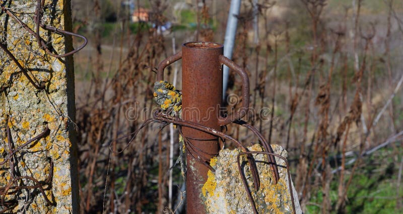 Old Metal Post in the Nature Stock Image - Image of outdoors, object ...