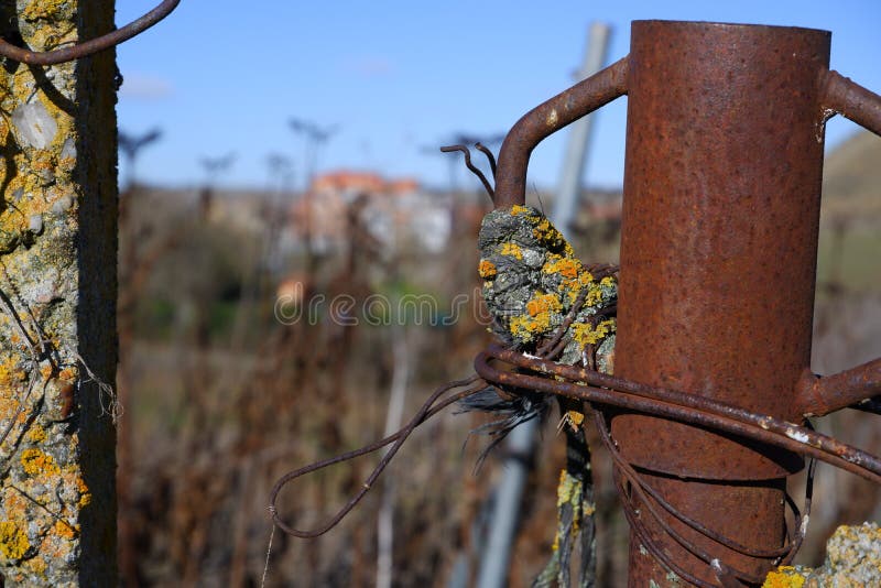 Old Metal Post in the Nature Stock Image - Image of detail, closeup ...