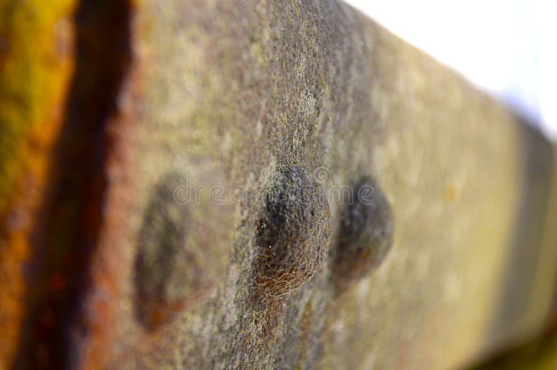 Old Rusty Rivet on Cracked Wood Stock Photo - Image of metal, rustic ...