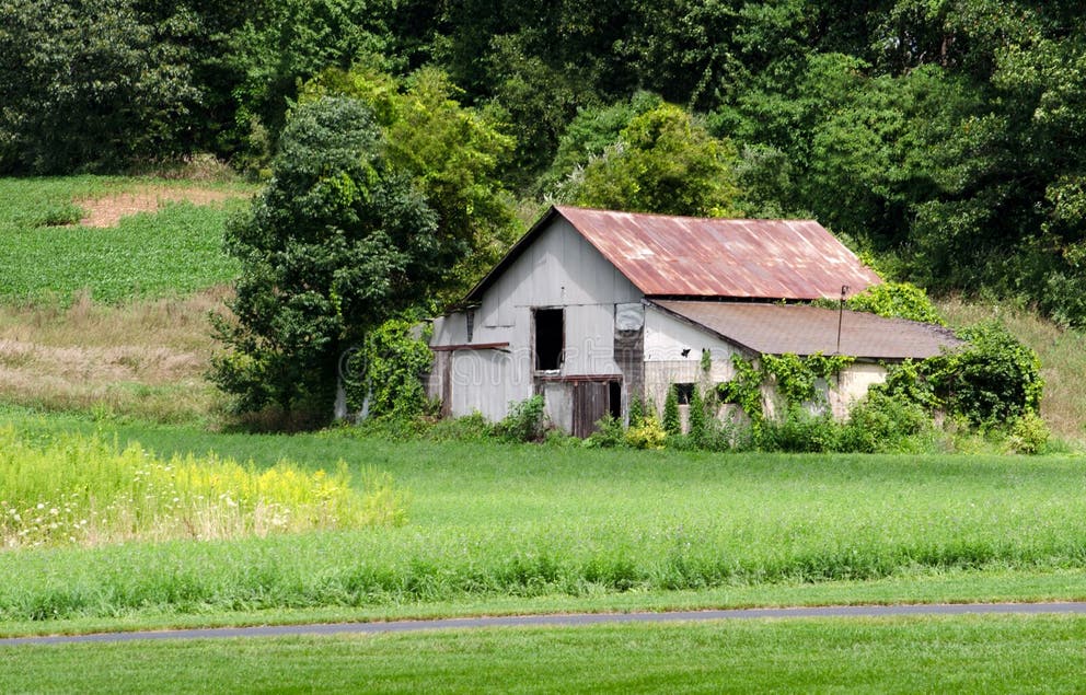 Old Michigan Barn in a Field Stock Photo - Image of america, barn: 34262844