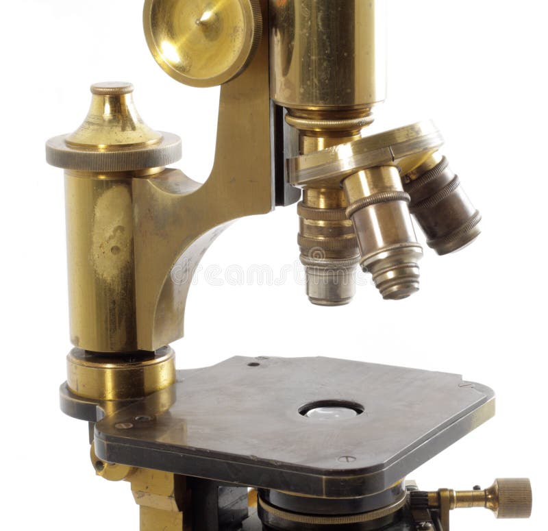 Plant Cells Under Microscope Stock Illustration - Illustration of cell ...