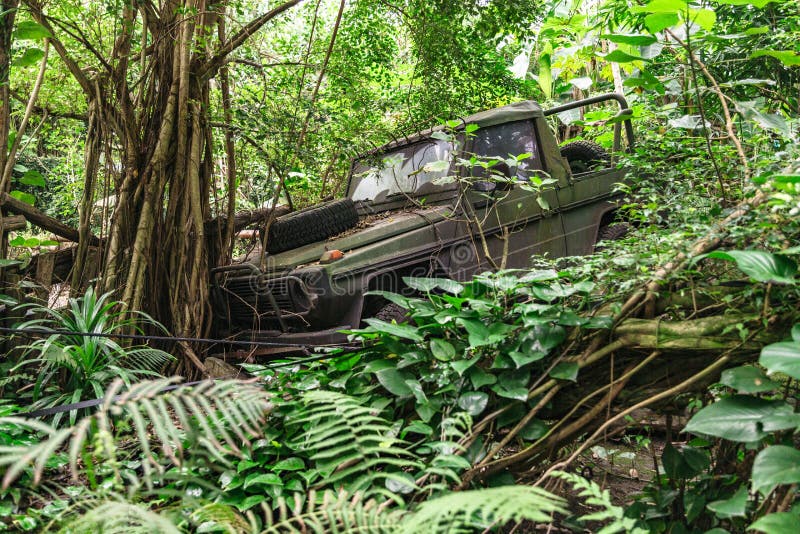Old Military Broken Jeep in Jungle Hit Tree Stock Photo - Image of ...