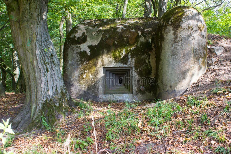 An Old Military Bunker in Forest 2 Stock Image - Image of concrete ...