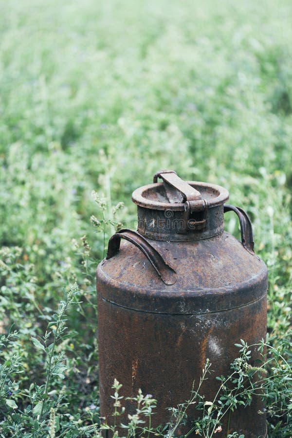 Old Milk Can in Field with Alfalfa Stock Photo - Image of outdoor, mood ...