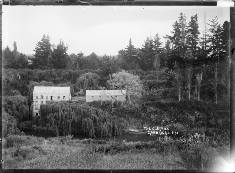 The Old Mill, Cambridge, Circa 1920s Picture. Image: 222367580
