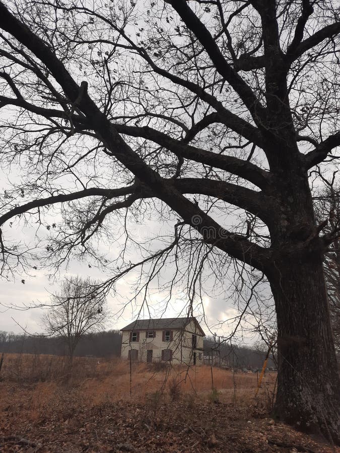 Old Mill in the Country stock image. Image of abandoned - 214841743