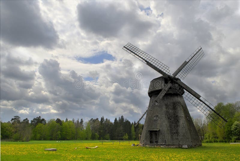 Old Mill at Dandelion Field Stock Photo - Image of history, machine ...