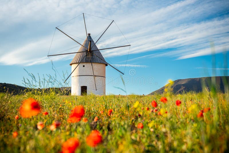Old mill in the field stock photo. Image of agriculture - 381839450