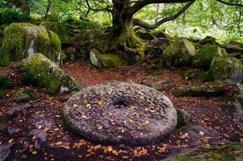Old Mill Stone on the Forest Floor Padley Gorge Derbyshire UK Stock ...