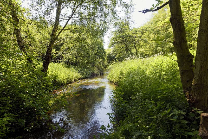 Old Mill Stream Winding through a Woodland Stock Photo - Image of ...