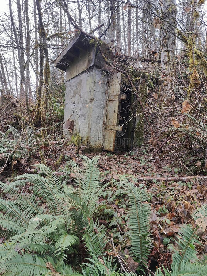 Old Mining Shack in Oregon Country Stock Image - Image of shack ...