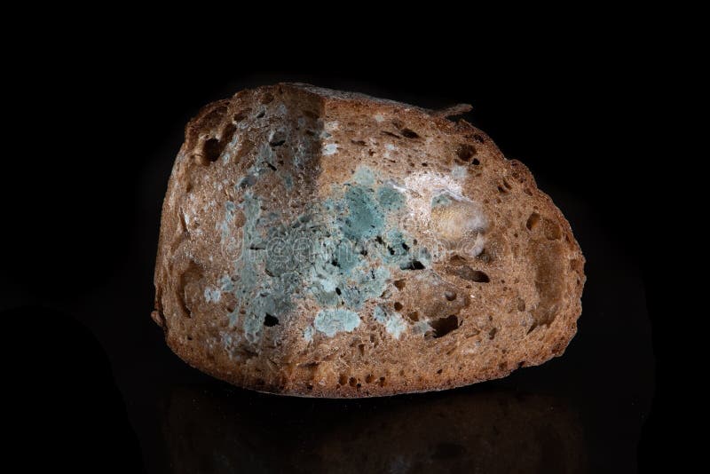 The Old Mold on the Rye Bread. Spoiled Food Stock Image - Image of ...