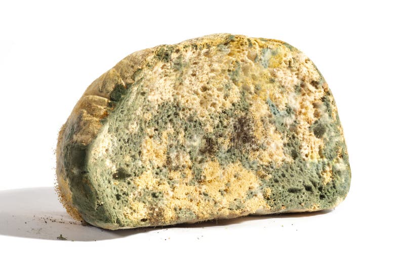 The Old Mold on the Wheat Loaf of Bread Crust. Spoiled Food Stock Photo ...