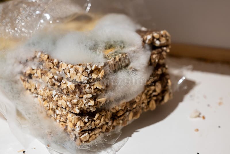 Old Moldy Sliced Bread Lies in a Bag Stock Photo - Image of disgusting ...