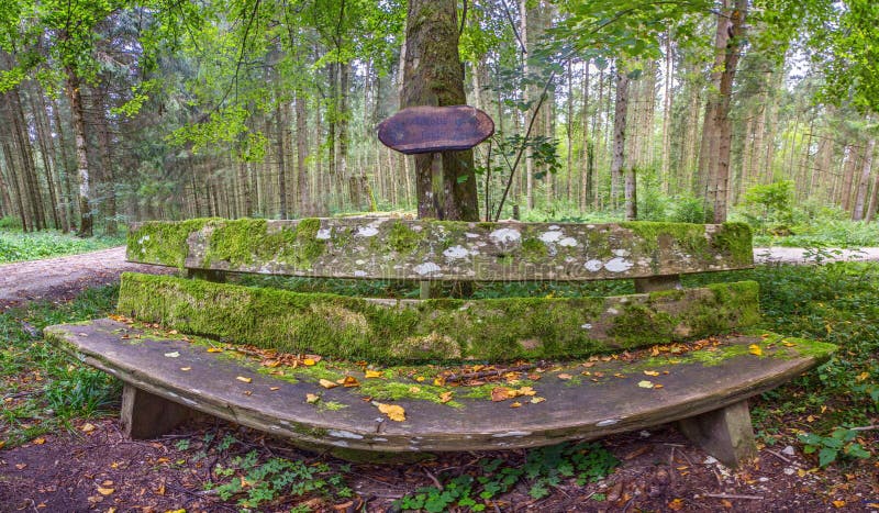 An Old, Moss-covered Bench in a Quiet Forest, Surrounded by Greenery ...