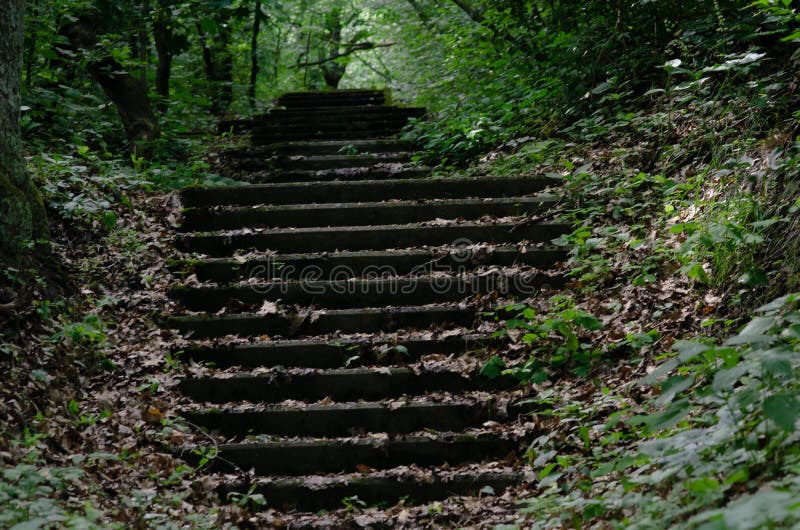 Old Moss-covered Staircase in the Forest Path To the Tunnels Mystical ...