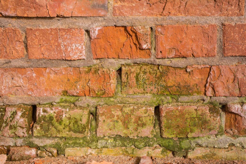 Old mossy brick wall stock photo. Image of texture, wall - 68931596