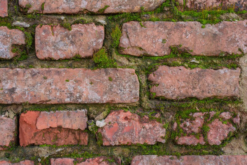 Old mossy brick wall stock image. Image of building, texture - 68932483