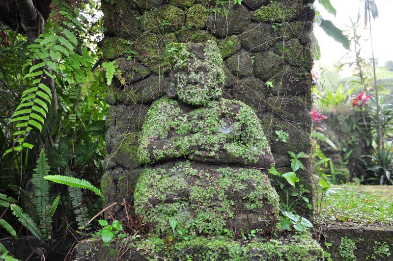 Old Mossy Guardian Stone Statue Stock Photo - Image of plantm, statue ...